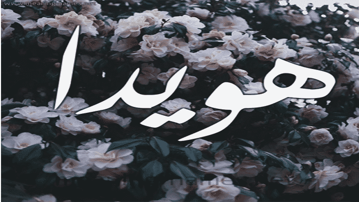 معنى اسم هويدا - مقال