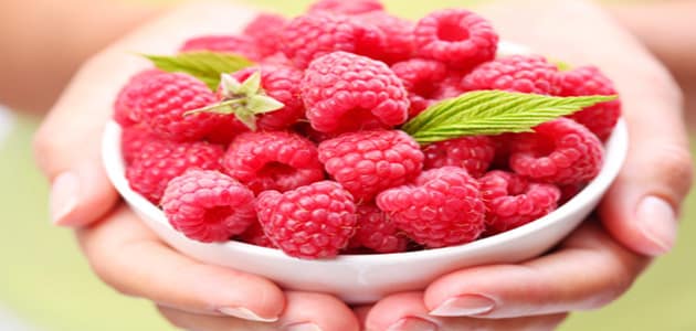 فوائد التوت الأحمر للإنسان - مقال