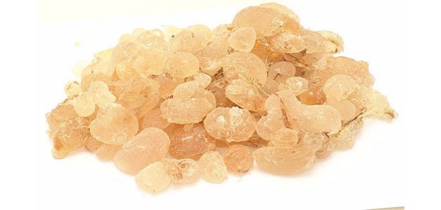 فوائد المستكة للتنحيف و إنقاص الوزن - مقال