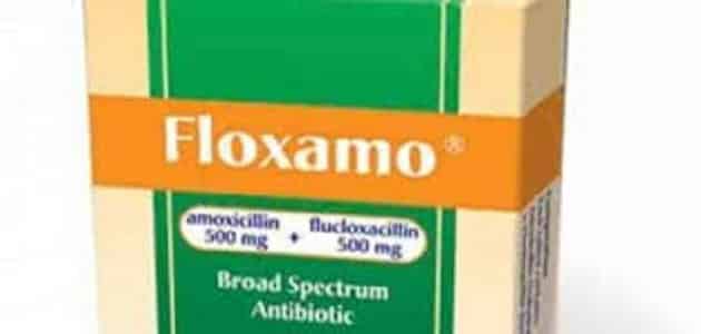 دواعي استعمال دواء فلوكسامو Floxamo الجرعة وأهم التحذيرات - مقال