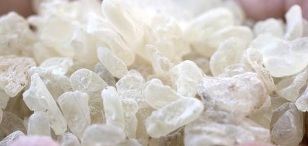 استخدامات المستكة وفوائدها - مقال