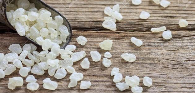 فوائد وأضرار المستكة اليوناني وكيفية استخدامها ؟ - مقال