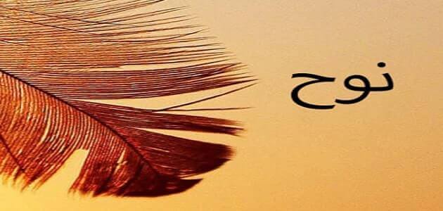 دلع اسم نوح - مقال