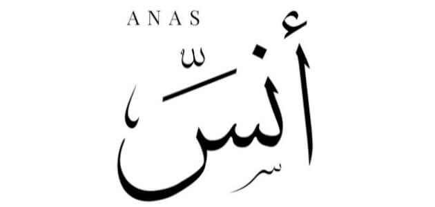 عيوب اسم انس - مقال
