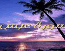 اسم أبو بكر الصديق - مقال